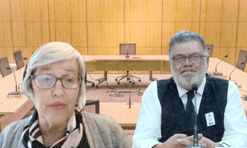 Treaty principles bill hearings, day six: ‘A travesty, a tragedy, a ...