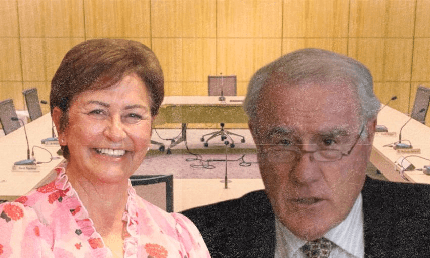 Treaty principles bill hearings, day four: Former PM, former minister ...