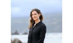 A Beautiful Family: a haunting summer holiday novel, reviewed | The Spinoff