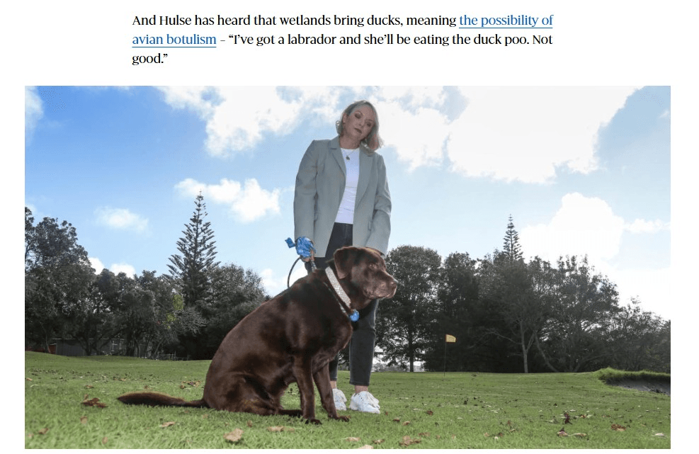 Golf Wars 2: The golf course strikes back | The Spinoff