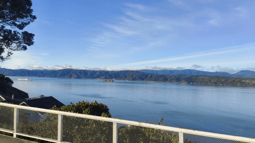In praise of the Number 24 Bus, Wellington’s most scenic commute | The ...