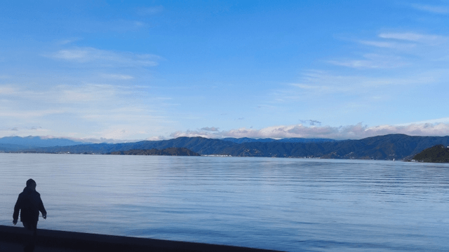 In praise of the Number 24 Bus, Wellington’s most scenic commute | The ...