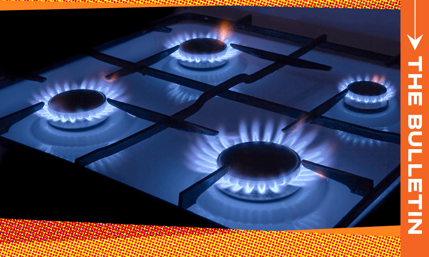 White-tailed spiders: Innocent scapegoat or dangerous super-pest? | The ...