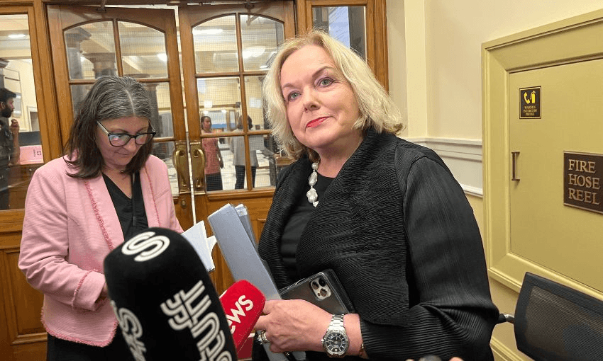 One MP, One Pint: Judith Collins on leadership regrets and writing a ...