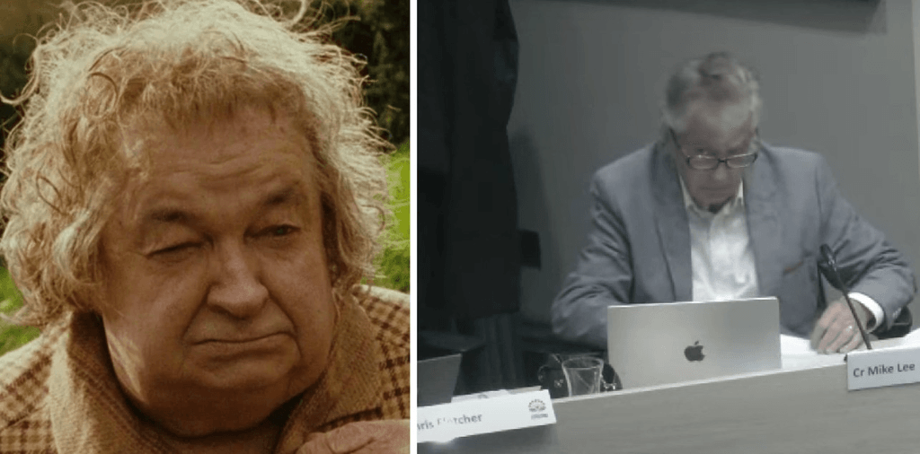 Fear and zoning at Auckland Council | The Spinoff