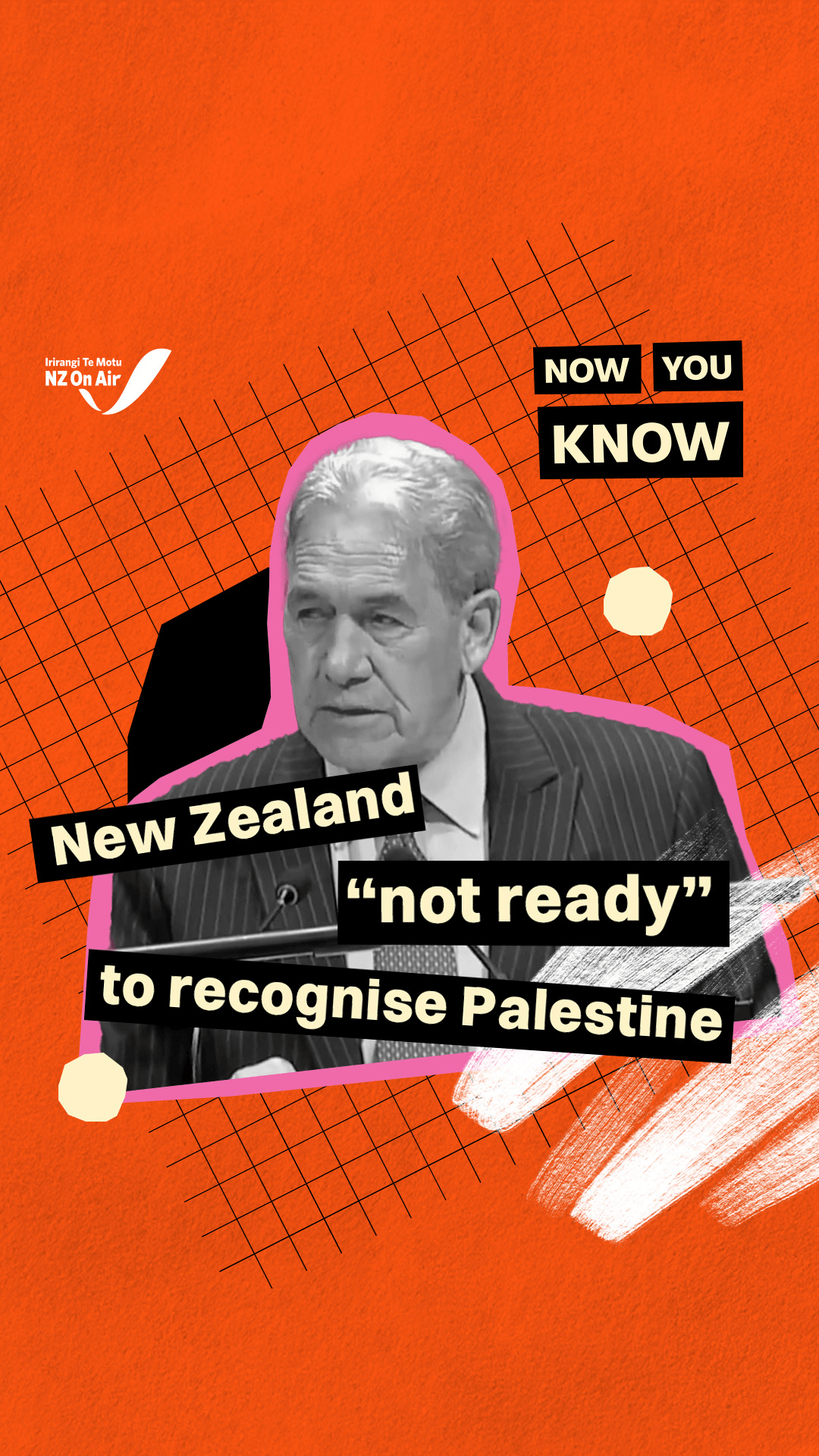 New Zealand “not ready” to recognise Palestine | Now You Know ...