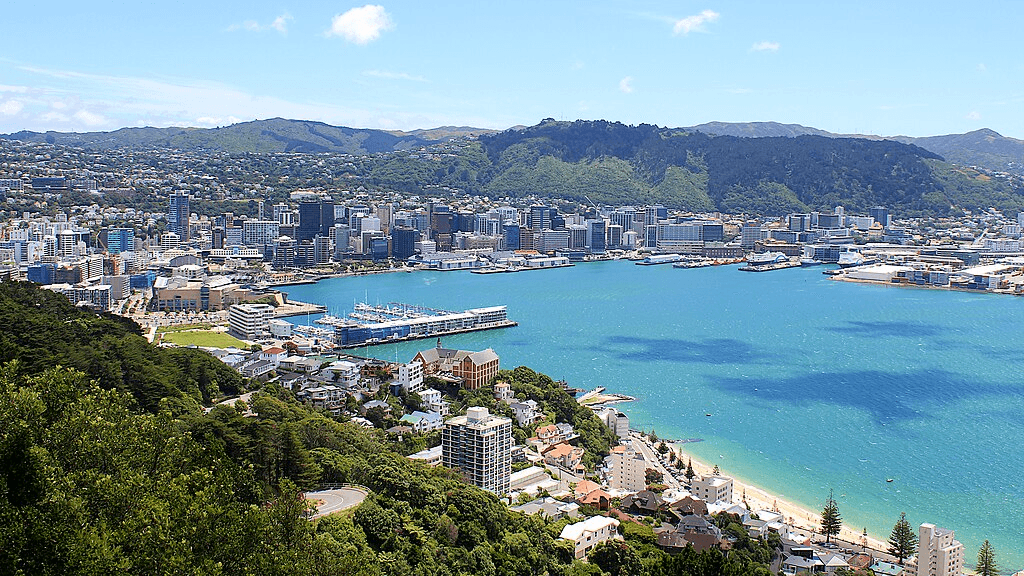 In praise of Route 2, Wellington’s best tourist bus | The Spinoff