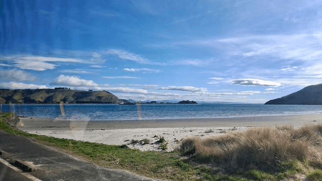 Is Dunedin’s number 18 bus the most scenic route in the country? | The ...