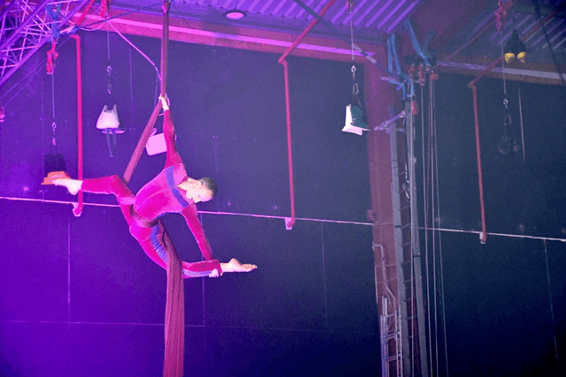 How The Circus Hub survived 20 years on the tightrope of creative arts ...