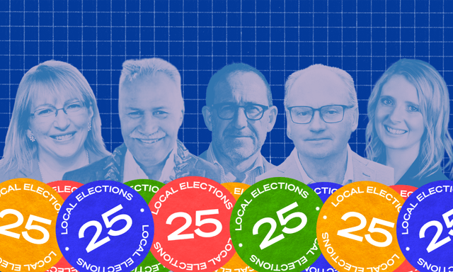Local elections live results: 25 Māori wards to go and 17 to stay ...
