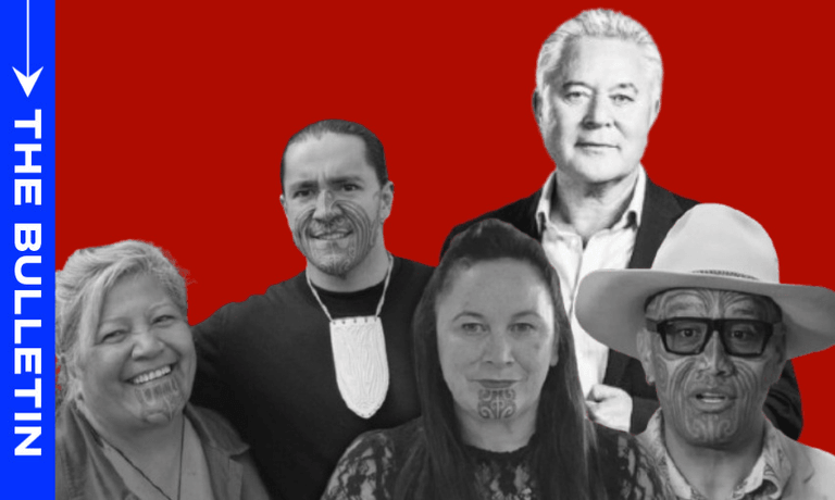 Calls for resignations on both sides as Tamihere deepens Te Pāti Māori ...