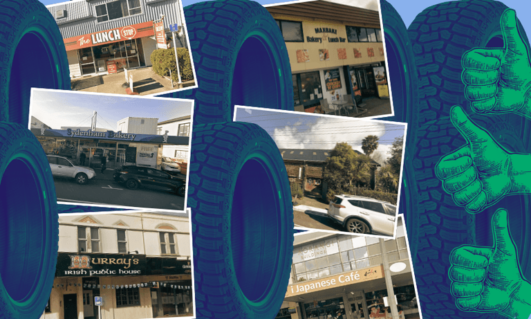 What is the Nelson Tenths case and why is it important? | The Spinoff