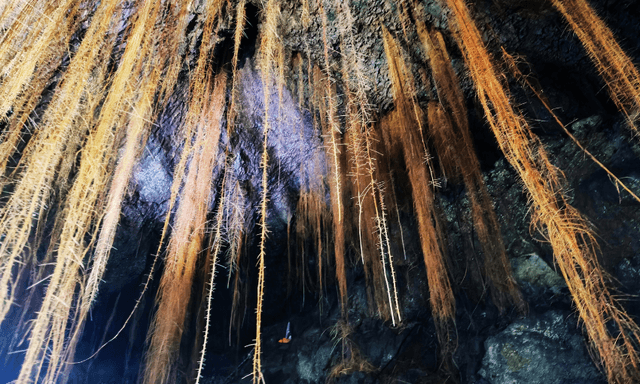 The hunt for the ancient pounamu slab lost in an Auckland cave | The ...