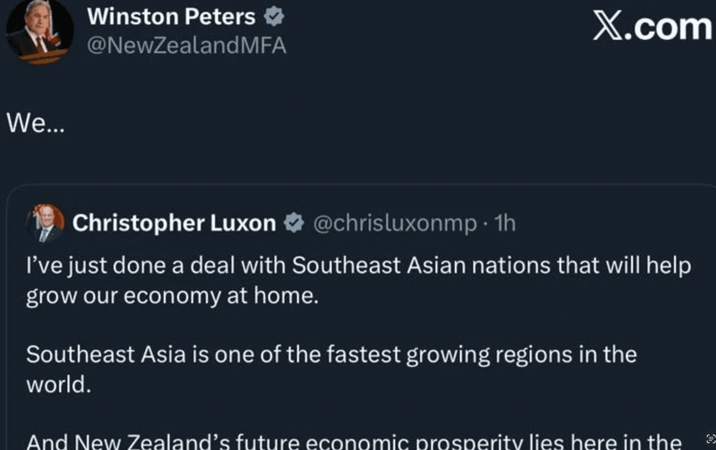 The 2025 Golden Jandals for conspicuous contributions to NZ politics ...