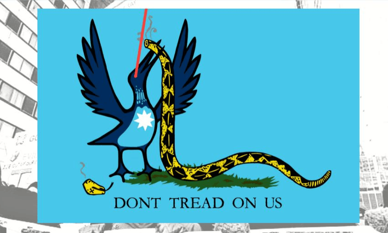 How NZ’s own laser kiwi influenced this viral anti-Ice flag in ...