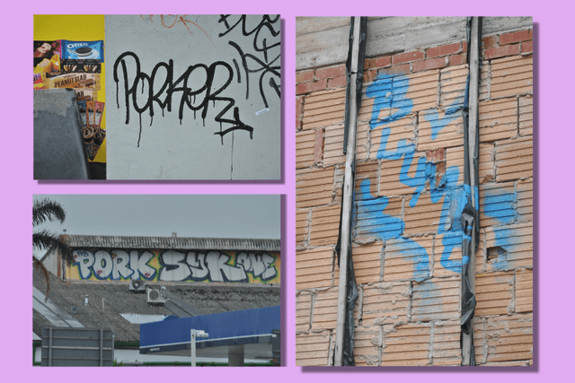 Who are New Zealand’s prolific taggers? | The Spinoff