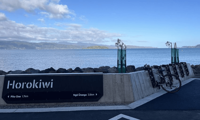 Review: Te Ara Tupua is the road Wellington always deserved | The Spinoff