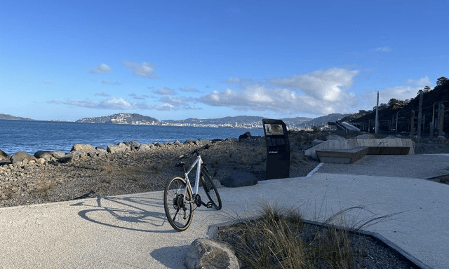 Review: Te Ara Tupua is the road Wellington always deserved | The Spinoff